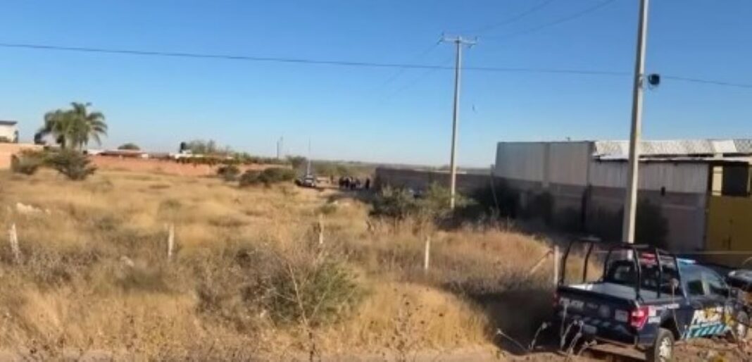 Tras una fuerte discusión adulto mayor asesinó a su pareja y luego se ...